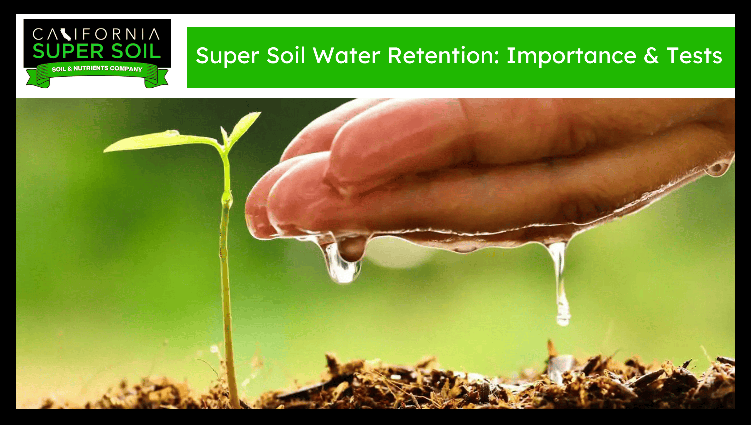 Super Soil Water Retention: Importance & Tests